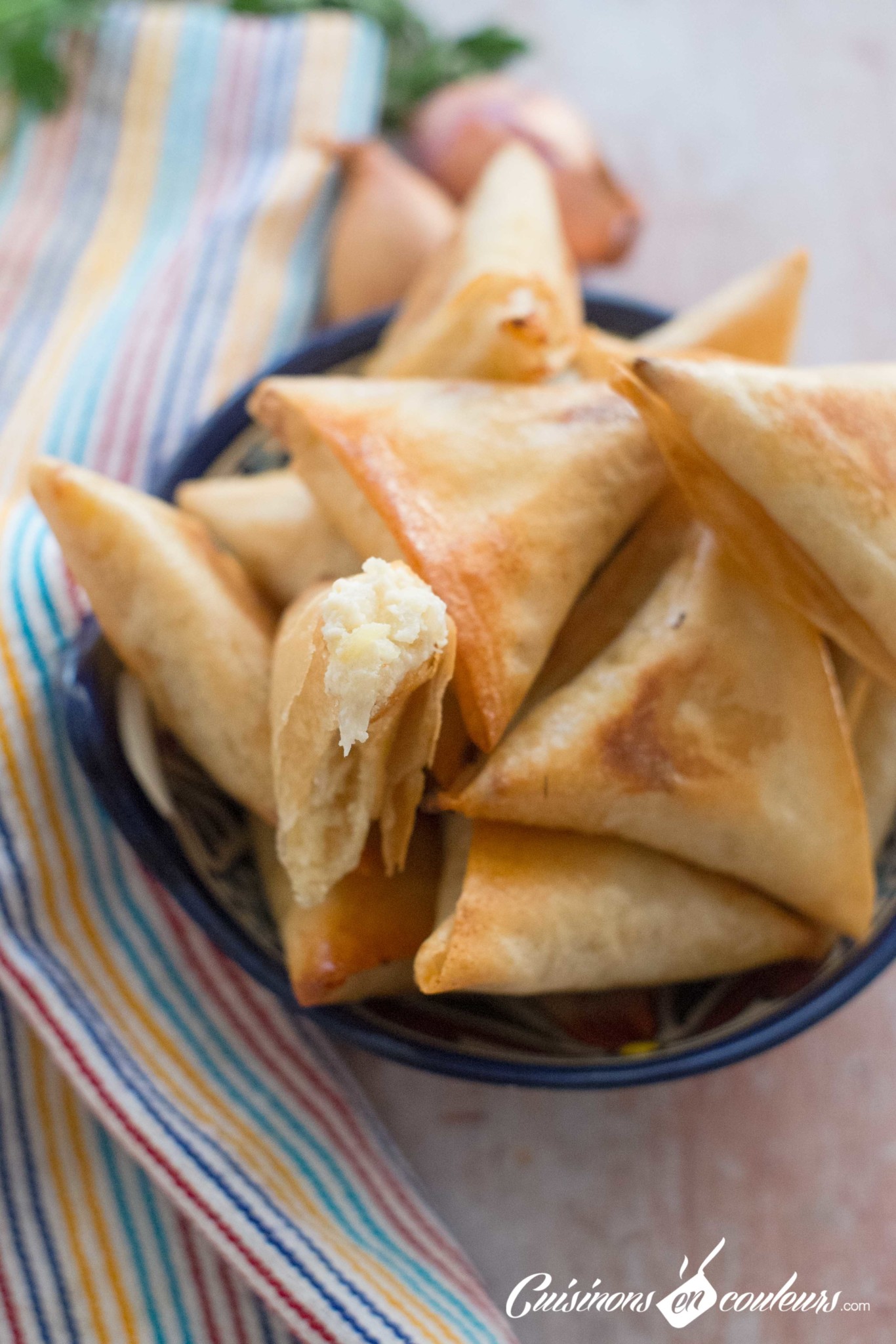 Briouates au fromage et aux oignons - Cuisinons En Couleurs